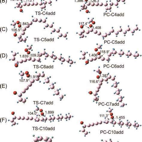 Optimized Geometries Of Transition State Ts And Product Complex Pc Download Scientific
