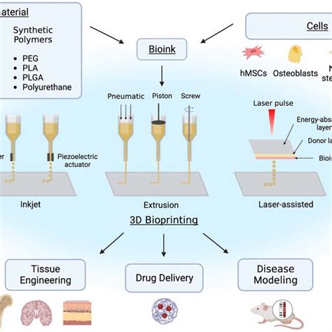 Overview Of 3d Bioprinting Including Bioink Composition Common Types Download Scientific
