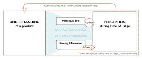 3 Process Of Perception Through Bottom Up And Top Down Processing Of