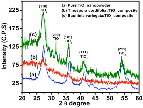 Xrd Patterns Of A Pure Tio2 B T Cordifoliatio2 Composite And C