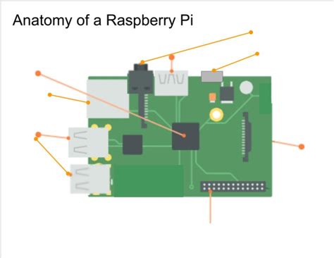 Anatomy Of A Raspberry Pi Diagram Quizlet Anatomy Of A Raspberry Pi Diagram Quizlet