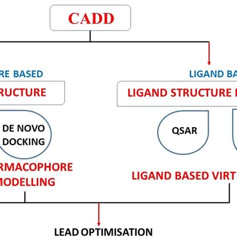 Graphical Representation Of Cadd In Drug Design Download Scientific Diagram