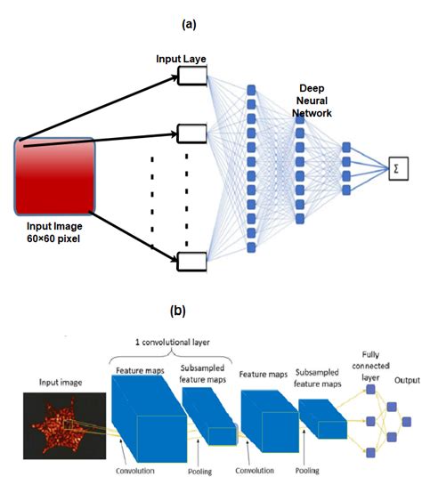 A Schematic Of Dnn B Schematic Representation Of Cnn Used In 134