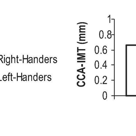 The Right CCA IMT R CCA And The Left CCA IMT L CCA In A Male Download Scientific Diagram