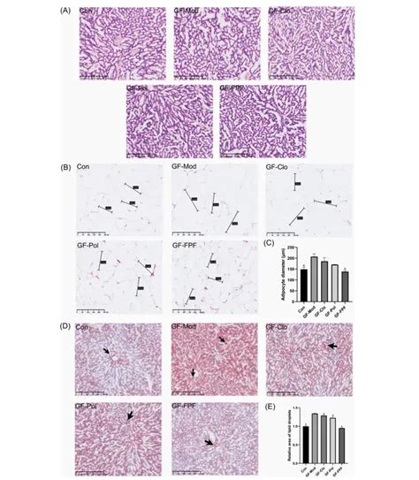 项目文章 非靶代谢组学：做好实验设计，单组学也能发7 文章 知乎