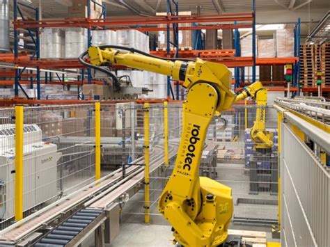 Palletizing Cell With Industrial Robot Fanuc M 710ic70 Robotec Year