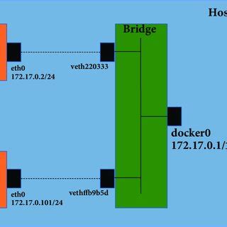 Docker Proxy Network Download Scientific Diagram