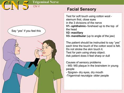 Cranial Nerve Examination PPT Eye And Vision Conditions Diseases And Conditions