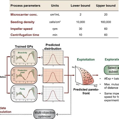 A Lower And Upper Boundaries Considered For The Different Process Download Scientific Diagram