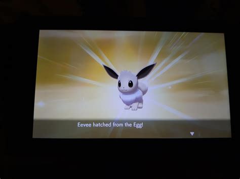 [viii] Shiny Eevee After 271 Eggs R Shinypokemon