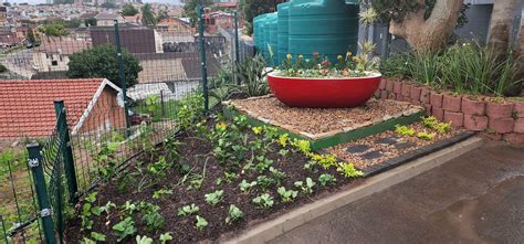 Tongaat Plants Tongaat Plants Updated Their Cover Photo