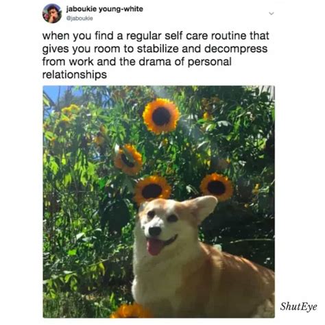 15 Self Care Memes A Fun Way To Prioritize Well Being