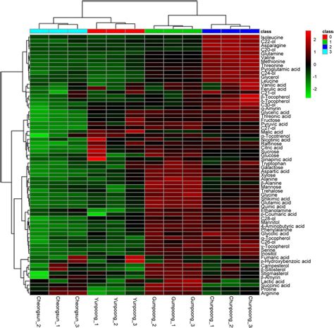 Gc Tof Ms Analysis Of The Metabolites From Four Cultivars Of Ginseng Download Scientific