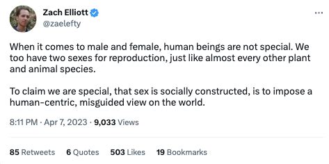 There Are Only Two Sexes Short Video Dangerous Intersection