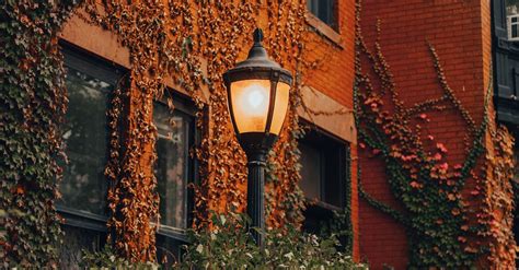 10월 3 D Odrzucaj Tradycyjne 가로등 가을 간판 개념 거리 거미 건물 건물 외관 건축 검은색 경치 계절 계절성 고립된 공포