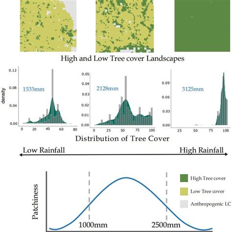 A Conceptual Diagram Of The Relationship Between Landscape Patchiness