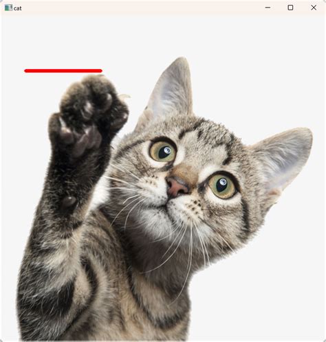 Opencv 零基础到项目实战 Day 1：图像基础与核心操作 Csdn博客