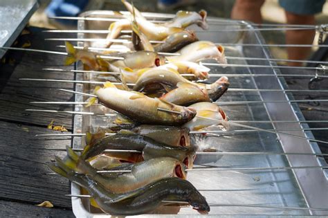 一日漁工體驗！到宜蘭員山八甲休閒魚場體驗季節限定的鮮味，香魚採收現場全直擊 微笑台灣編輯室 微笑台灣 用深度旅遊體驗鄉鎮魅力