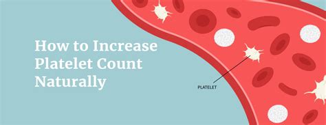 Human Platelets Count