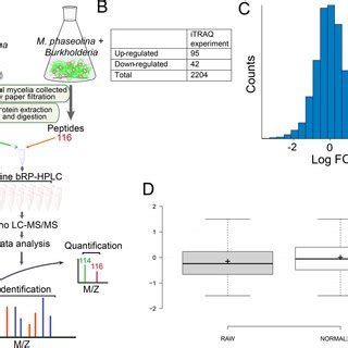 Overview Of Experimental Design A Workflow Of Quantitative Proteomic Download Scientific