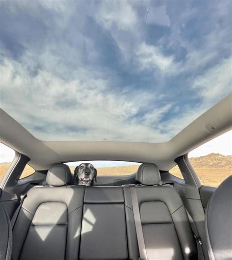 Tesla 3 Interior Roof Cabinets Matttroy