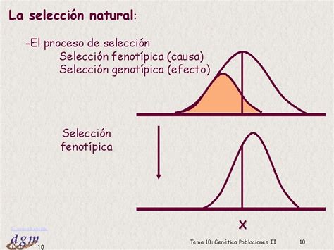 Gentica De Poblaciones Ii Factores Que Cambian Las
