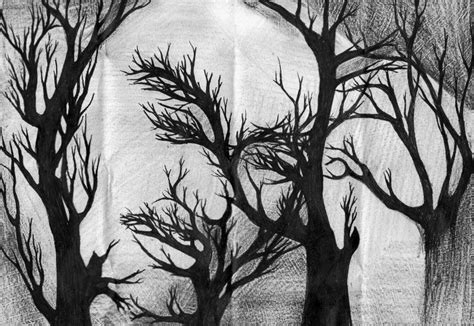 Visual Illusions Psychology Perception