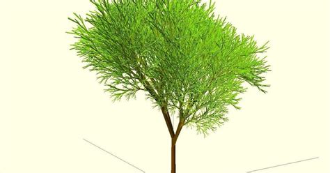 Completely Random Tree By Romanhegglin Download Free Stl Model