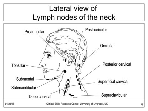 Lymph Node Examination PPT