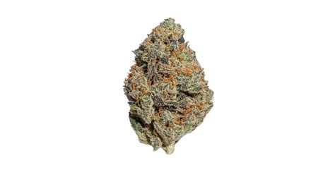 Jelly Donut Cannabis Strain Information Growdiaries