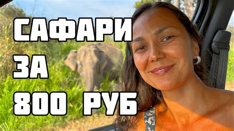 СЛОНЫ ИЗ ДЖУНГЛИ ВЫХОДЯТ В ДОРОГУ Youtube