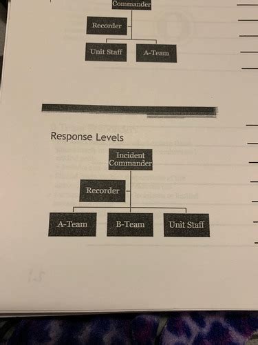 Final Exam Flashcards Quizlet Final Exam Flashcards Quizlet