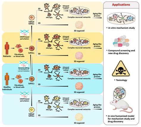 Schematic Representation Of The Workflow Of Hipsc Generation Genome