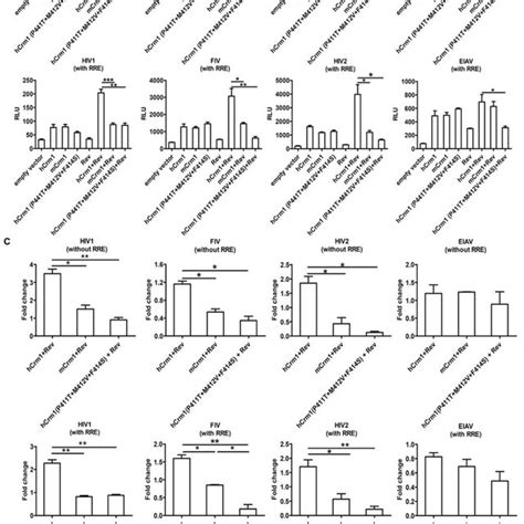 Interaction Of Hiv Rev With Human Vs Mouse Crm1 In Murine Cells B78