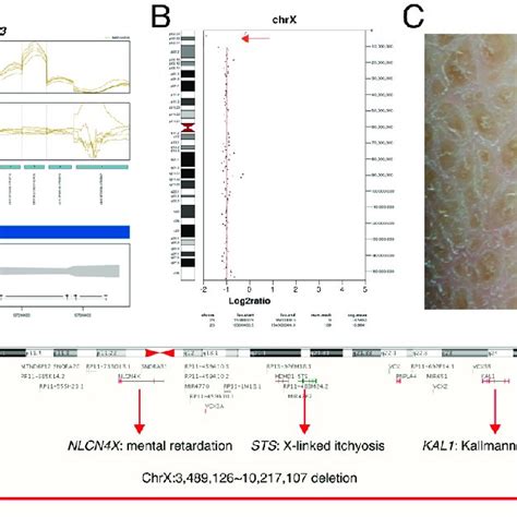 Copy Number Variations From Targeted Next Generation Sequencing In A Download Scientific