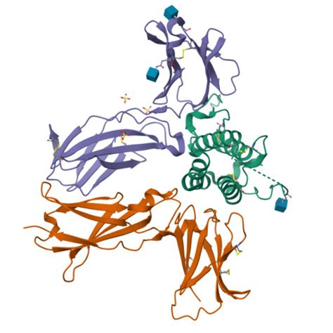 RCSB PDB J Structure Of Human TSLP TSLPR In Complex With Mouse IL Ralpha