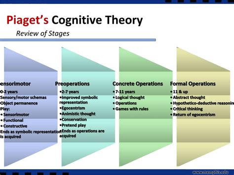 Jean Piaget Schema Theory Escapeauthority Hot Sex Picture