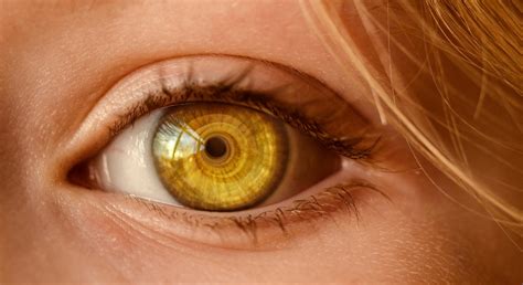 The Rarest Eye Color Fascinating Facts About Eyes