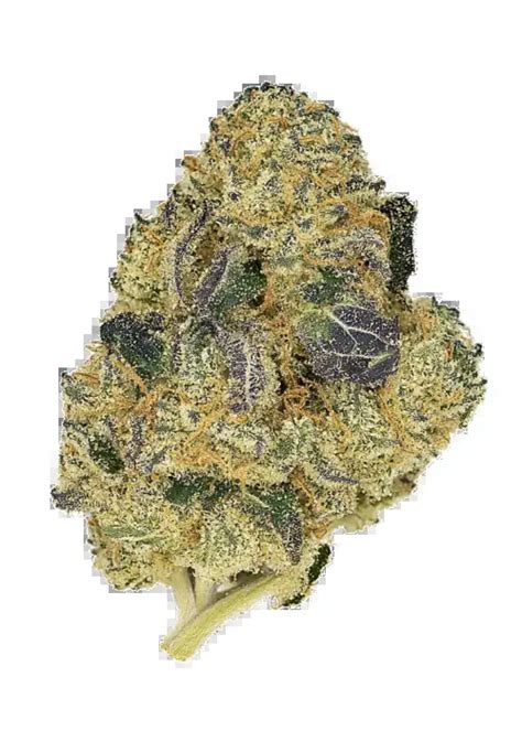 Gushers Cannabis Strain Information GrowDiaries