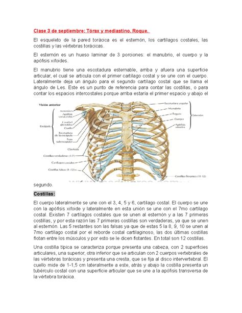 Clasificación De Stevenson La Insuficiencia Cardiaca Se Define Como