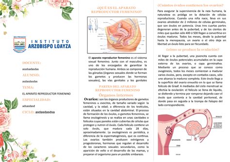 El Aparato Reproductor Femenino V