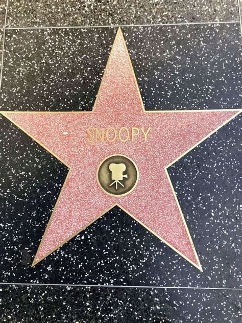 Imágenes De Snoopy Descubre 190 Ideas De Peanuts Snoopy 🎀