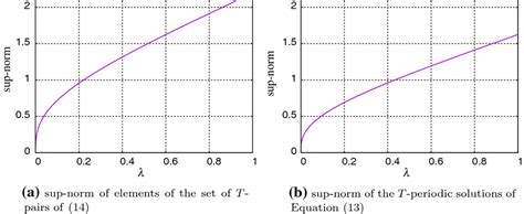 Comparison Between The Graphs Of The Sup Norm Of Elements Of The Set Of