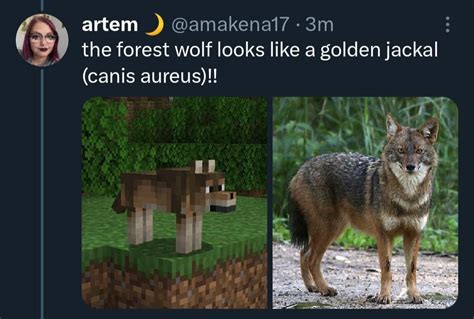 New Wolf Variants And Their Real Counterparts R Minecraft