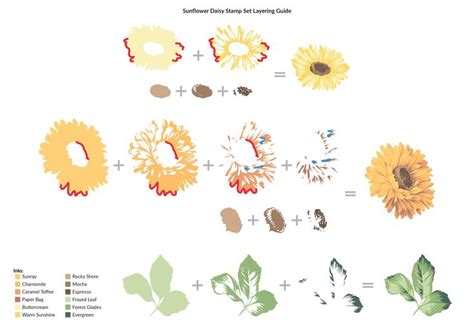 Sunflower Stamp Drawing Sunflower Layering Stencil How To Stamp