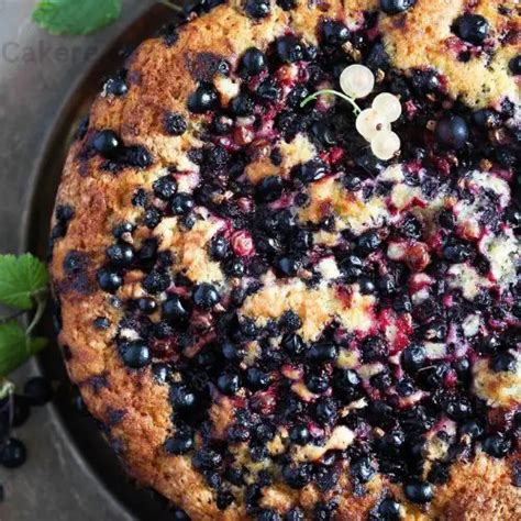 Black Currant Cake Recipe Cakere