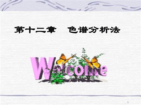 第十二章——色谱分析法导论ppt课件 1word文档在线阅读与下载无忧文档