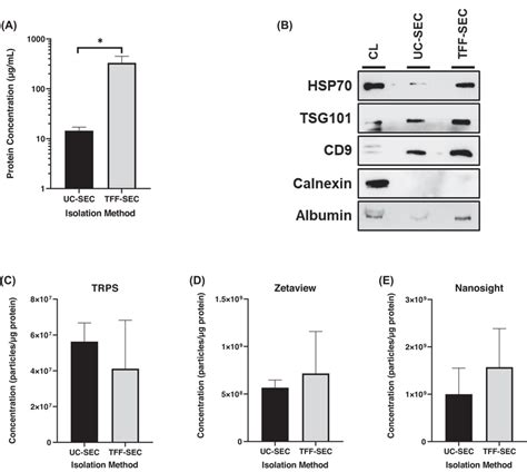 After Size Exclusion Chromatography The Purity Of Particles Isolated Download Scientific