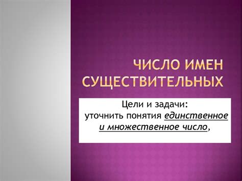 Число имен существительных Online Presentation