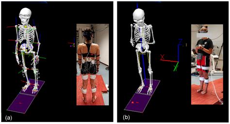 Behavioral Sciences Free Full Text Postural Control And Muscle Activity During Dual Task In